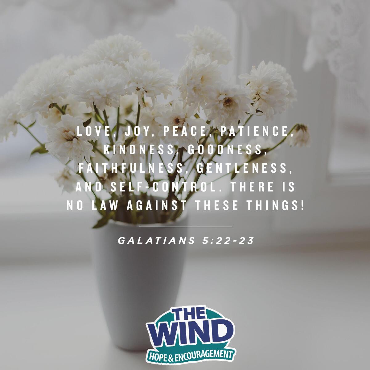 Gal 5 22 23